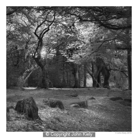 John Kiely - Elemental Imagery - ArtWeb Blog